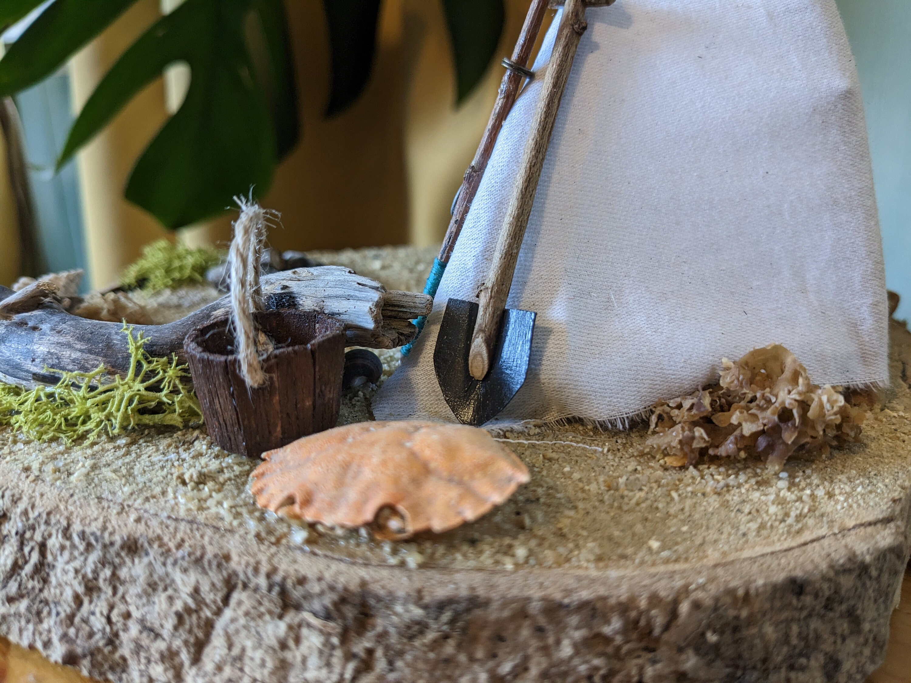Fairy Beach Den - Etsy
