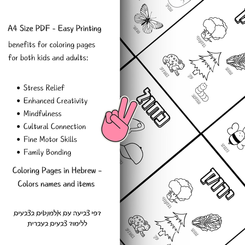 Hebrew Colors Coloring Pages | Learn Colors in Hebrew Printable ...