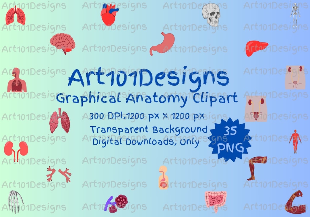 Art101designs Graphical Anatomy Clipart - Human Organs Clipart ...