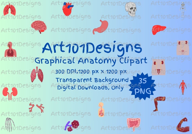 Art101designs Graphical Anatomy Clipart - Human Organs Clipart ...