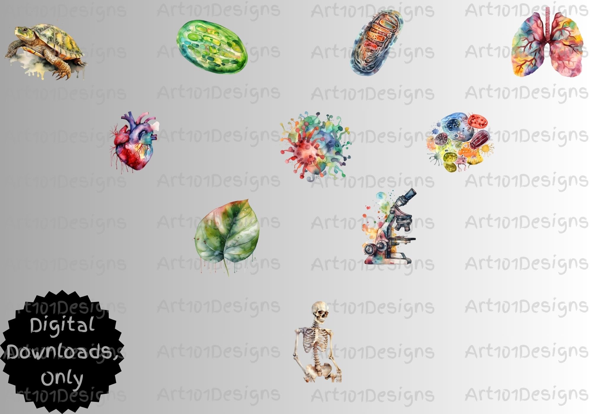 Art101designs - Biology Art - Biology Art Prints - Biology Posters ...