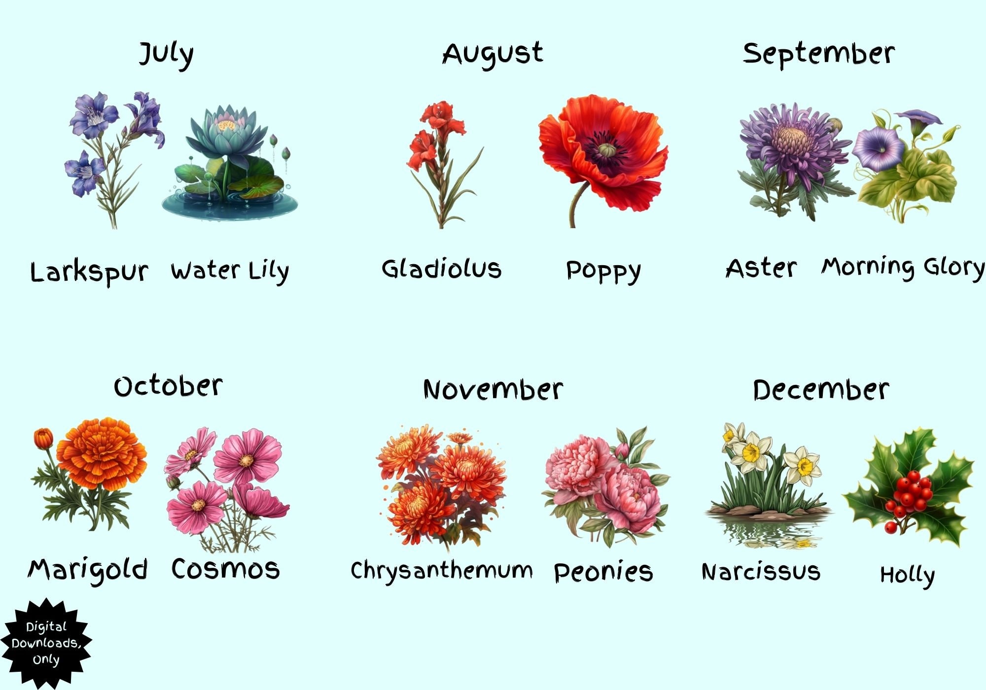Birth Month Flowers - Birth Month Flower Clipart - Clipart Birth Month ...