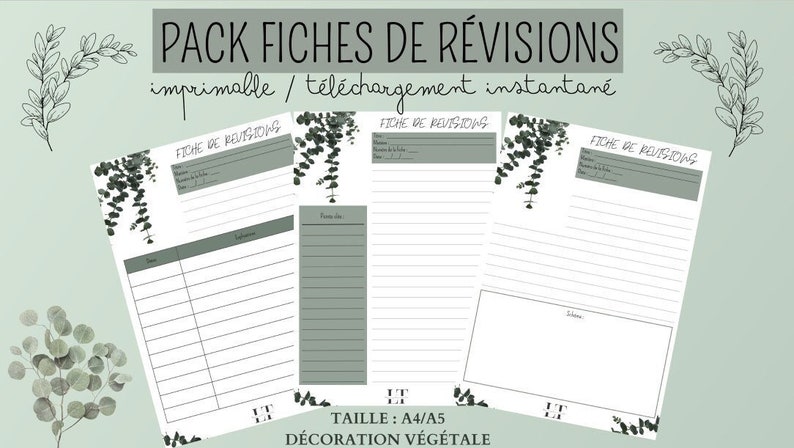 Student Review Sheet Template Study Effectively Revision Sheet A4,A5 ...