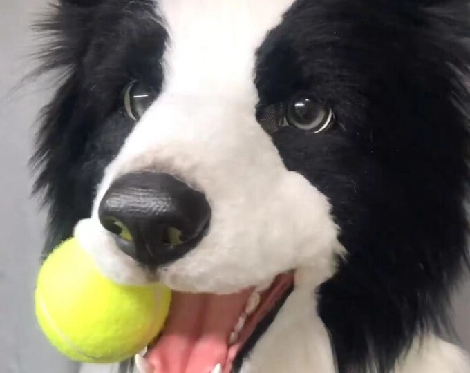 Spot Fursuit Border Collie Puppy Fursona Fursuit Realistic Cospaly ...
