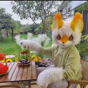 Furry Kemono Toony Fursuit Costumes Full Furry Suit Fursona Anime ...