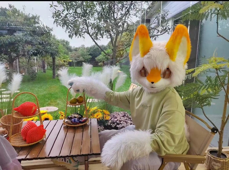 Furry Kemono Toony Fursuit Costumes Full Furry Suit Fursona Anime ...