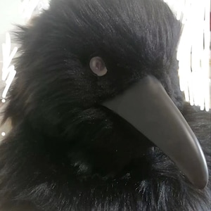Cosplay Birds Eagles Realistic Furry Furry Head, Furry Head, Furry ...