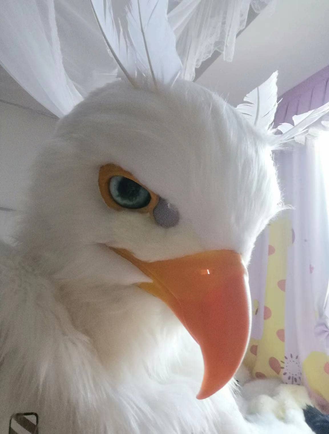 Cosplay Birds Eagles Realistic Furry Furry Head, Furry Head, Furry ...