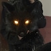 Cosplay Any Animal Realistic Furry Furry Head, Furry Head, Furry, Furry ...