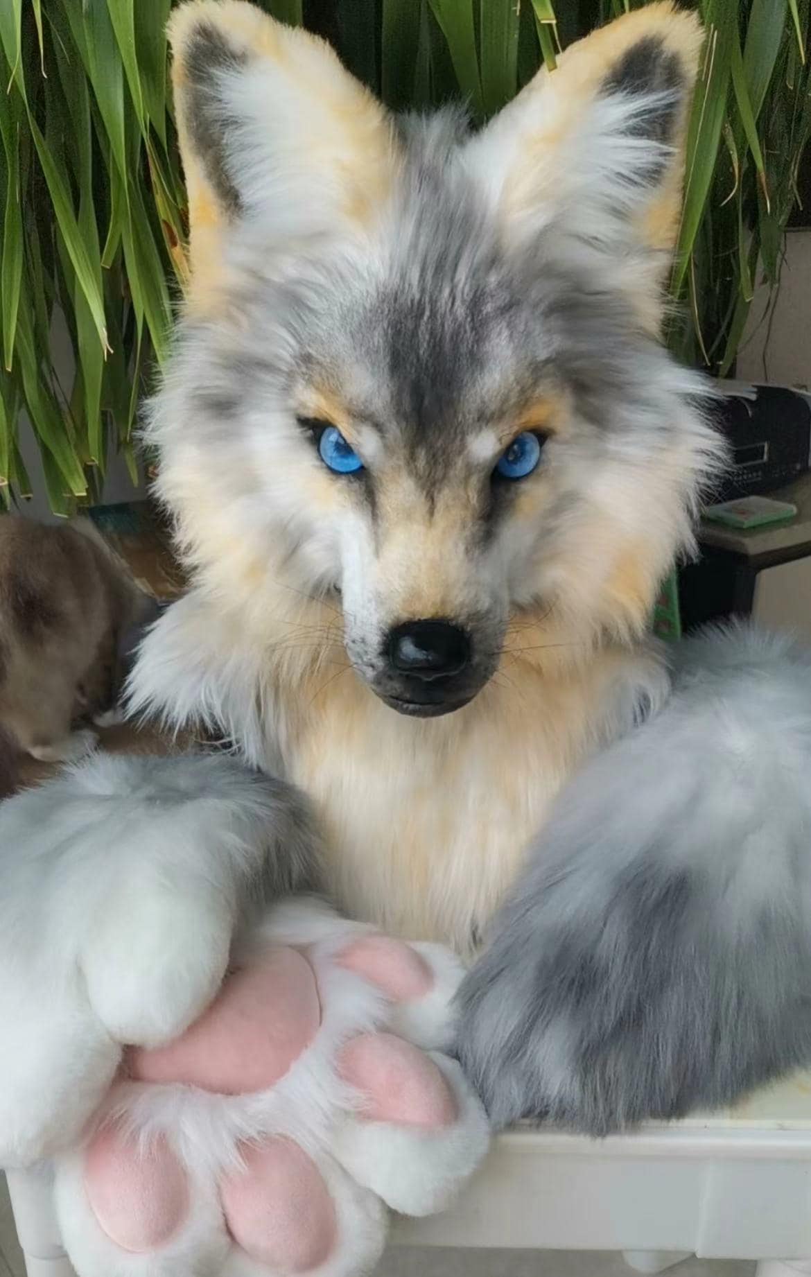 Realistic Wolf Fursuit