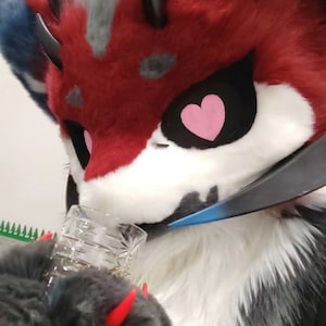 Furry Kemono Toony Fursuit Costumes Full Furry Suit Fursona Anime ...