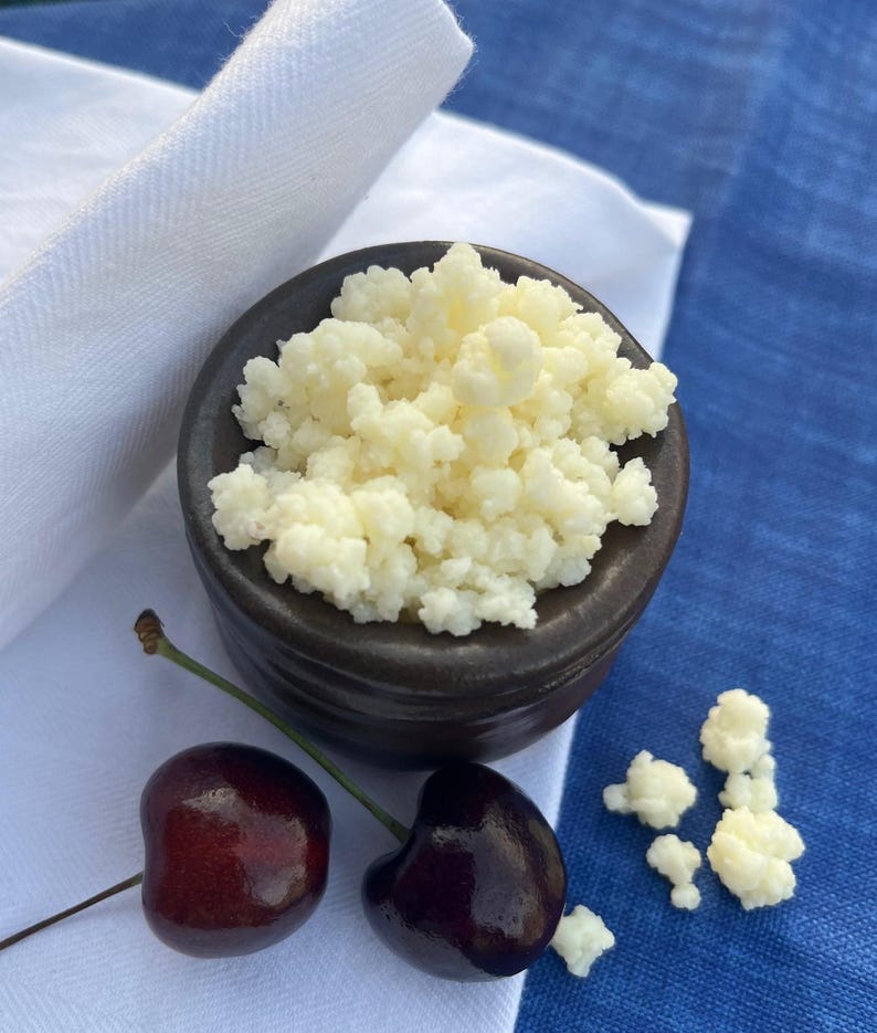 Quality Milk Kefir Grains - Etsy