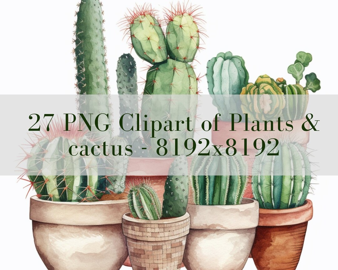27 HD Clipart PNG | Bundle House Plants & Cactus Clipart | Digital ...