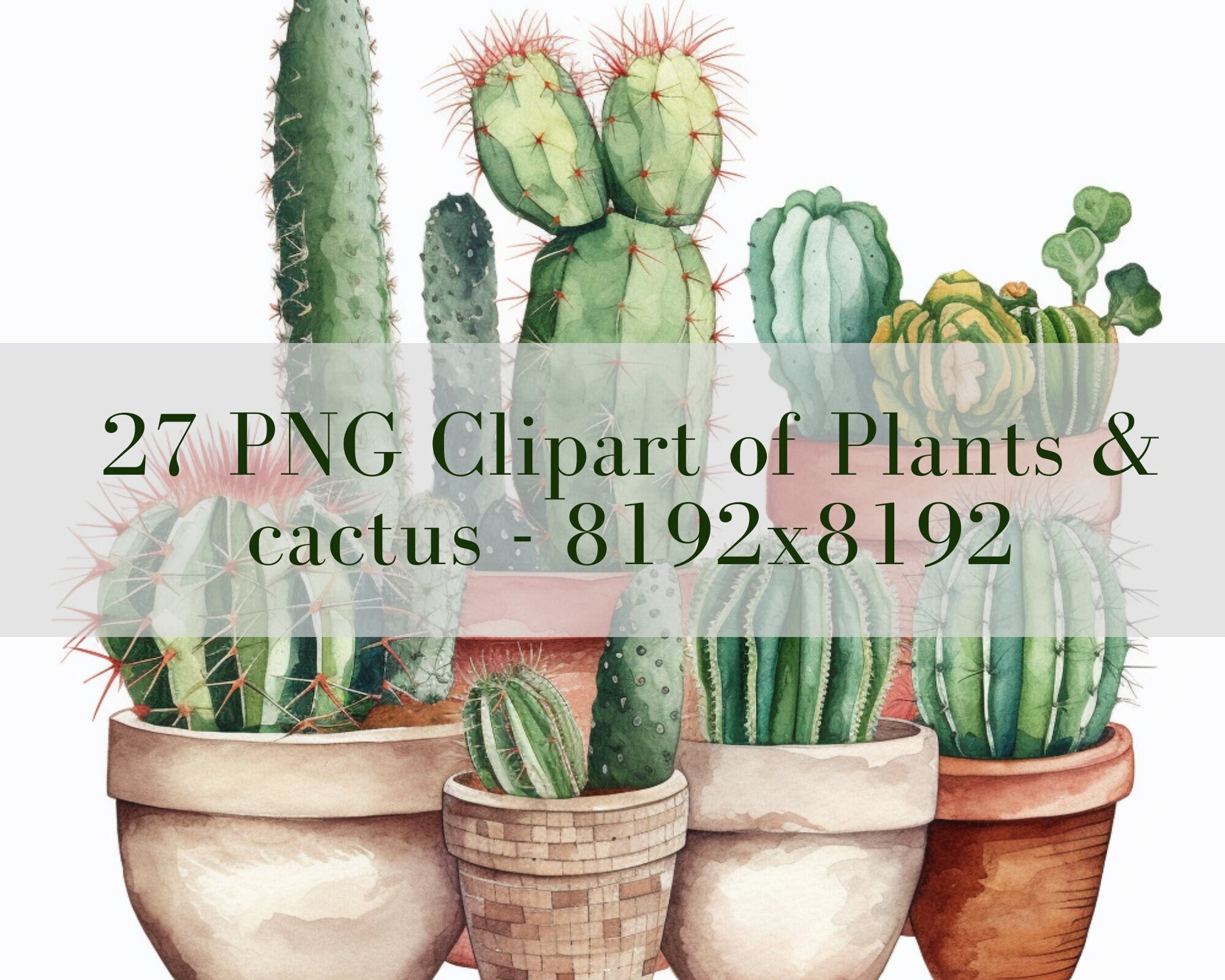 27 HD Clipart PNG Bundle House Plants & Cactus Clipart Digital Download ...