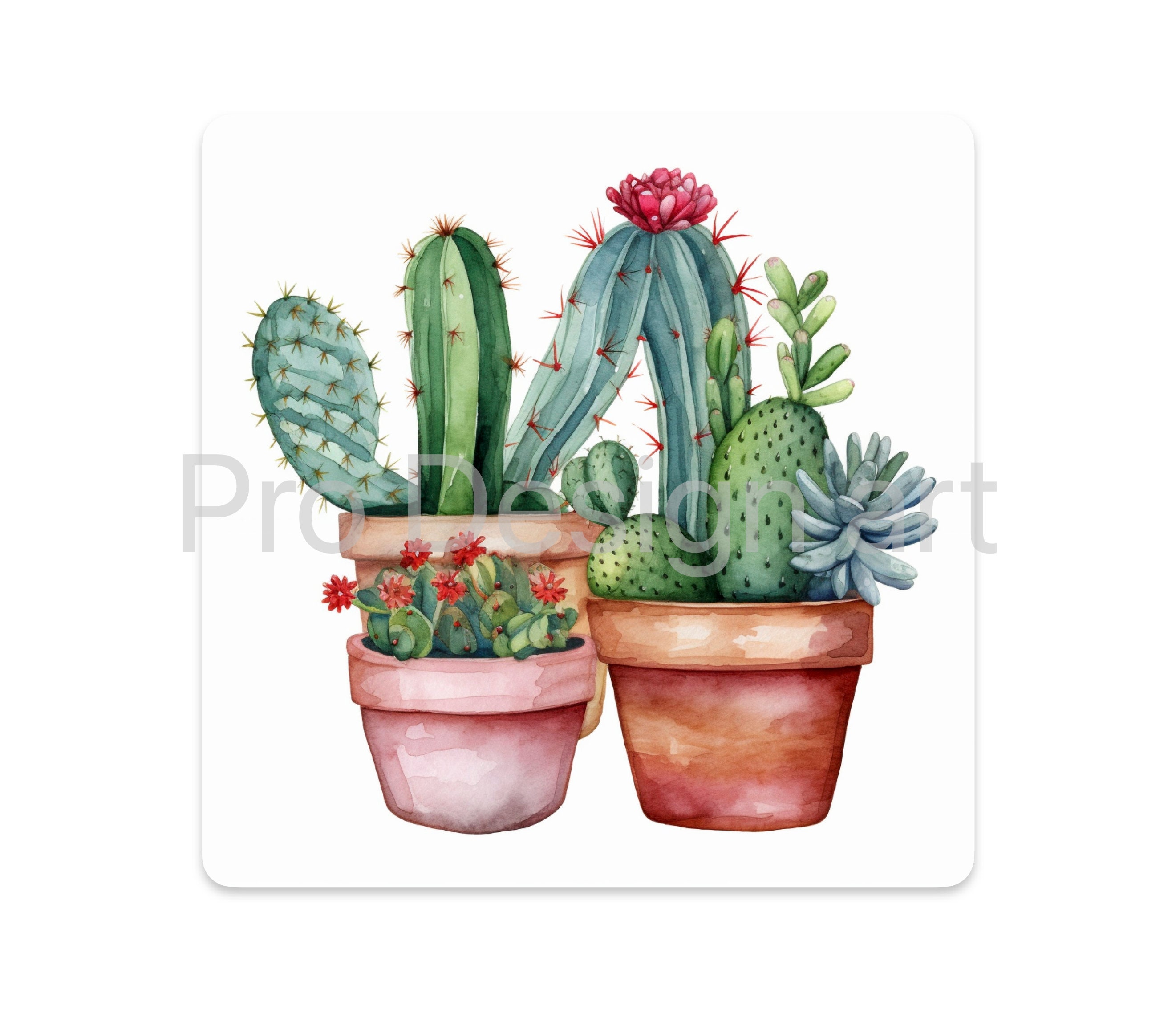 27 HD Clipart PNG | Bundle House Plants & Cactus Clipart | Digital ...