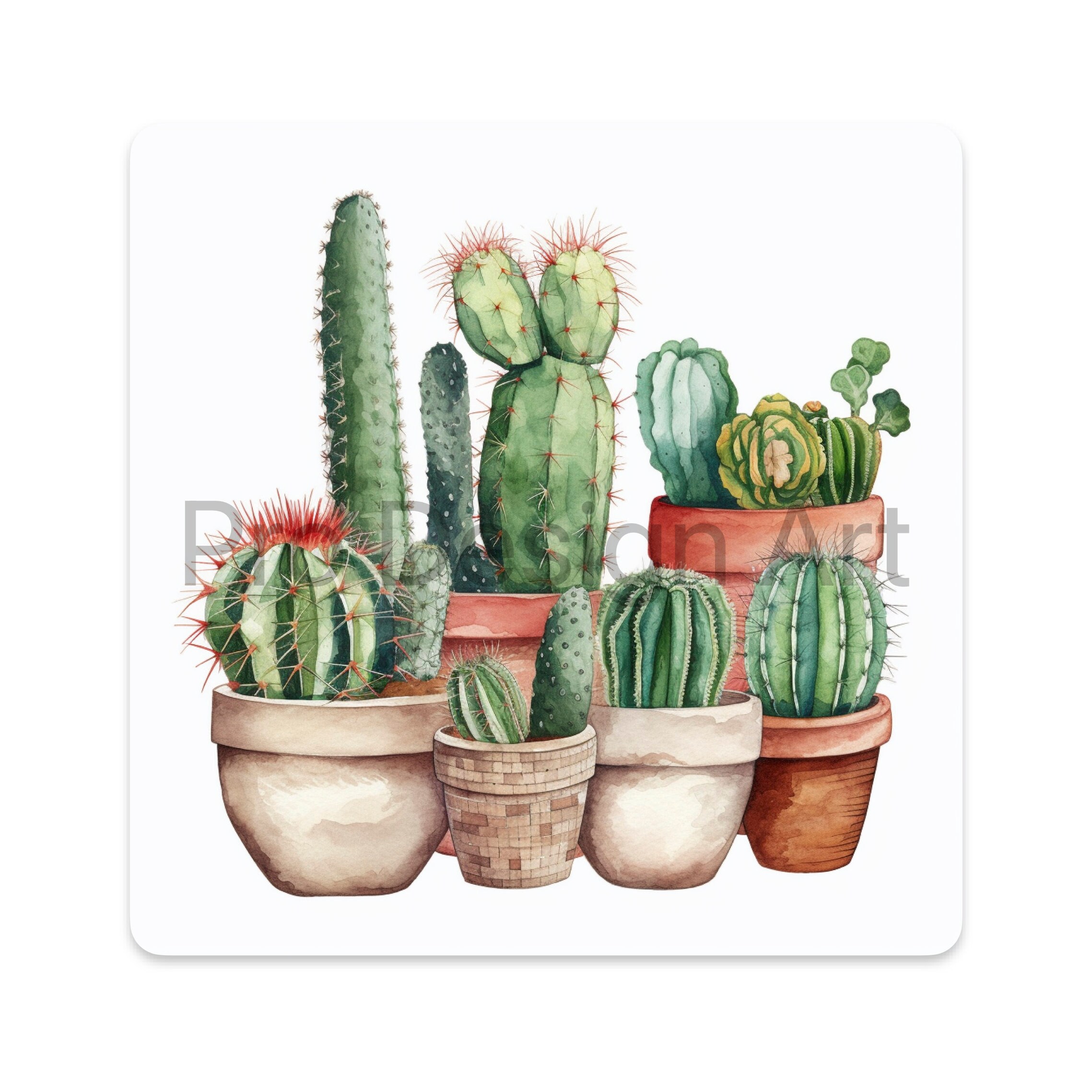 27 HD Clipart PNG Bundle House Plants & Cactus Clipart Digital Download ...