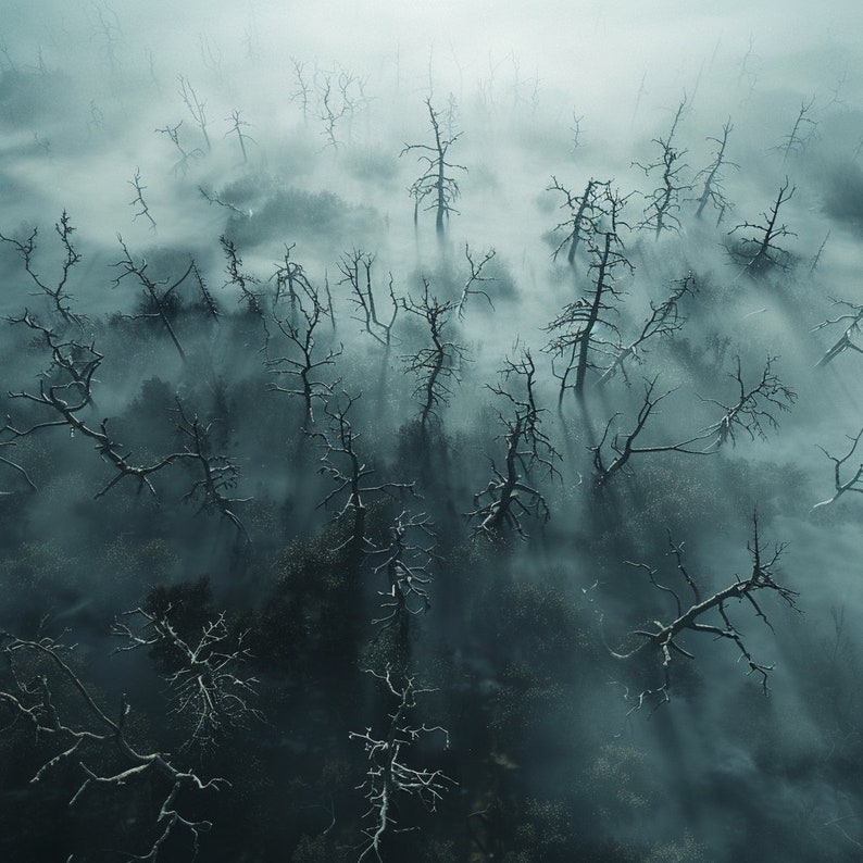 12 Haunted Foggy Forest 2, Dungeons and Dragons Map Set, Roll20, VTT ...