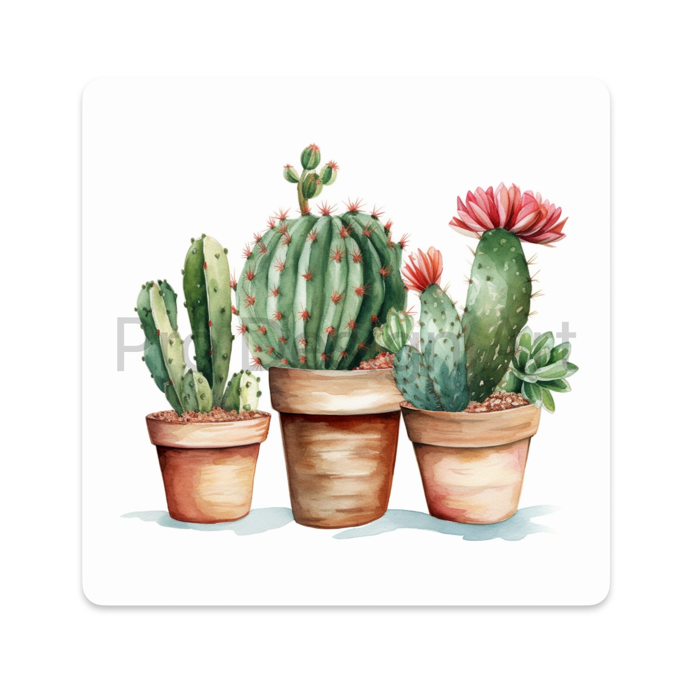 27 HD Clipart PNG | Bundle House Plants & Cactus Clipart | Digital ...