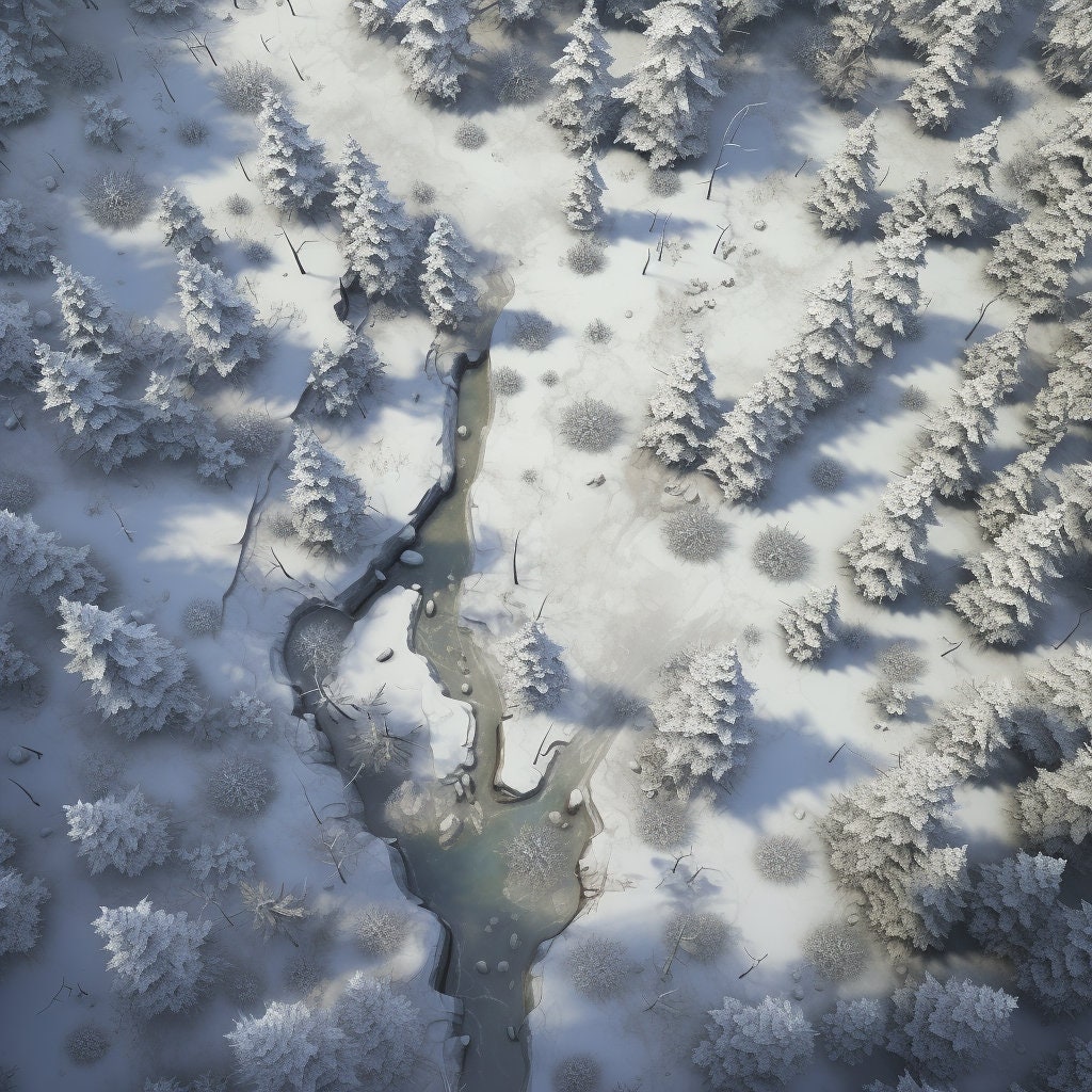 12 Dungeons and Dragons Map Set Snow Forest DND Dungeon - Etsy