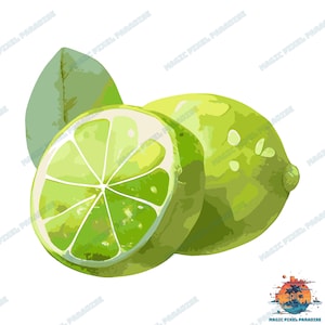 Watercolor Key Lime Clipart SVG Key Lime SVG and PNG Citrus Graphics ...