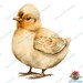 Watercolor Chicken Clipart SVG - Cute Chickens and Chicks, Farm Animal ...