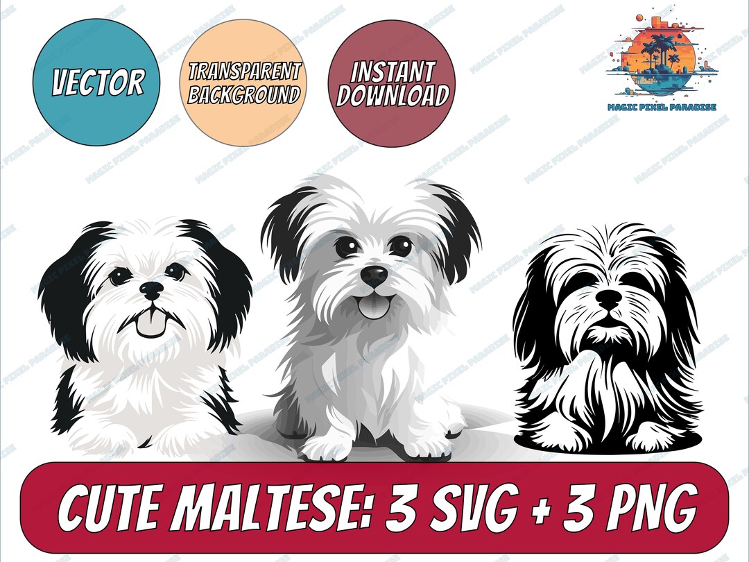 Maltese SVG | Maltese Clipart | Maltese PNG | Maltese Head, Maltese Cut ...