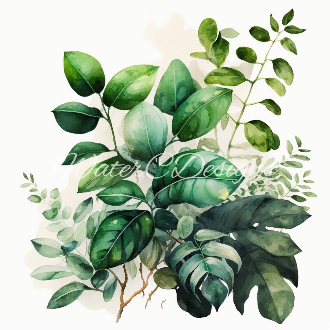Foliage Clipart | 18 High Quality Png's | Commercial Use | Watercolor ...