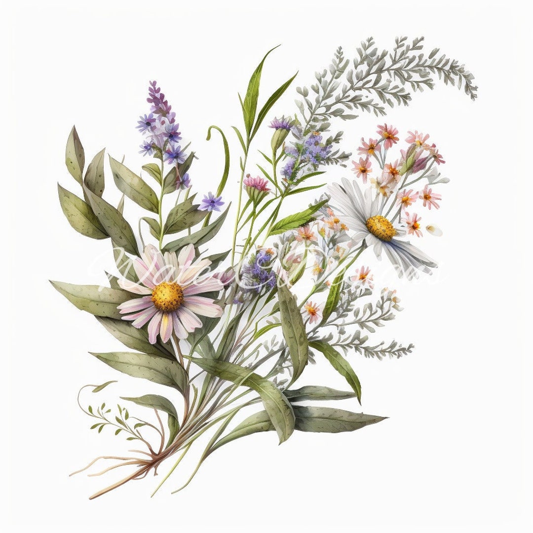 Wildflower Bouquet Clipart 18 High Quality Png's - Etsy