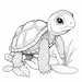 Turtle Collection 50 Page Coloring Pages Printable Variety Coloring ...
