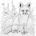 Fox Collection 50 Page Coloring Pages Printable Variety Coloring Pages ...