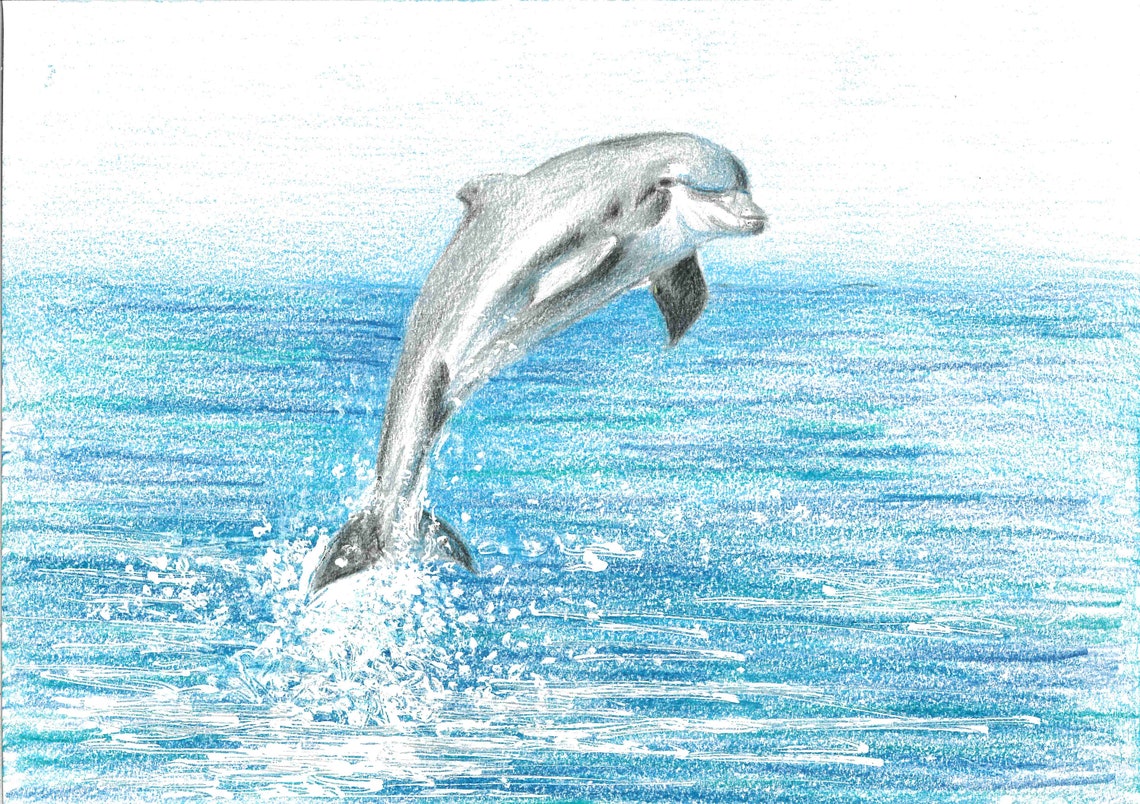 A Moment of Magic: Realistic Drawing of a Dolphin in Flight ...