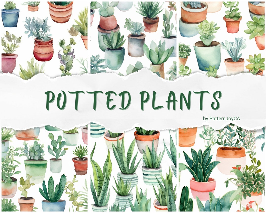 Seamless Pattern Pack, Potted Plants Pattern, Digital Paper - Etsy
