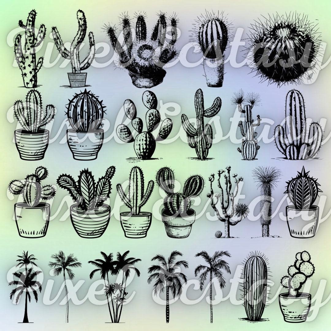 101 Palm and Cactus Tree SVG PNG Mega Bundle Botanical - Etsy
