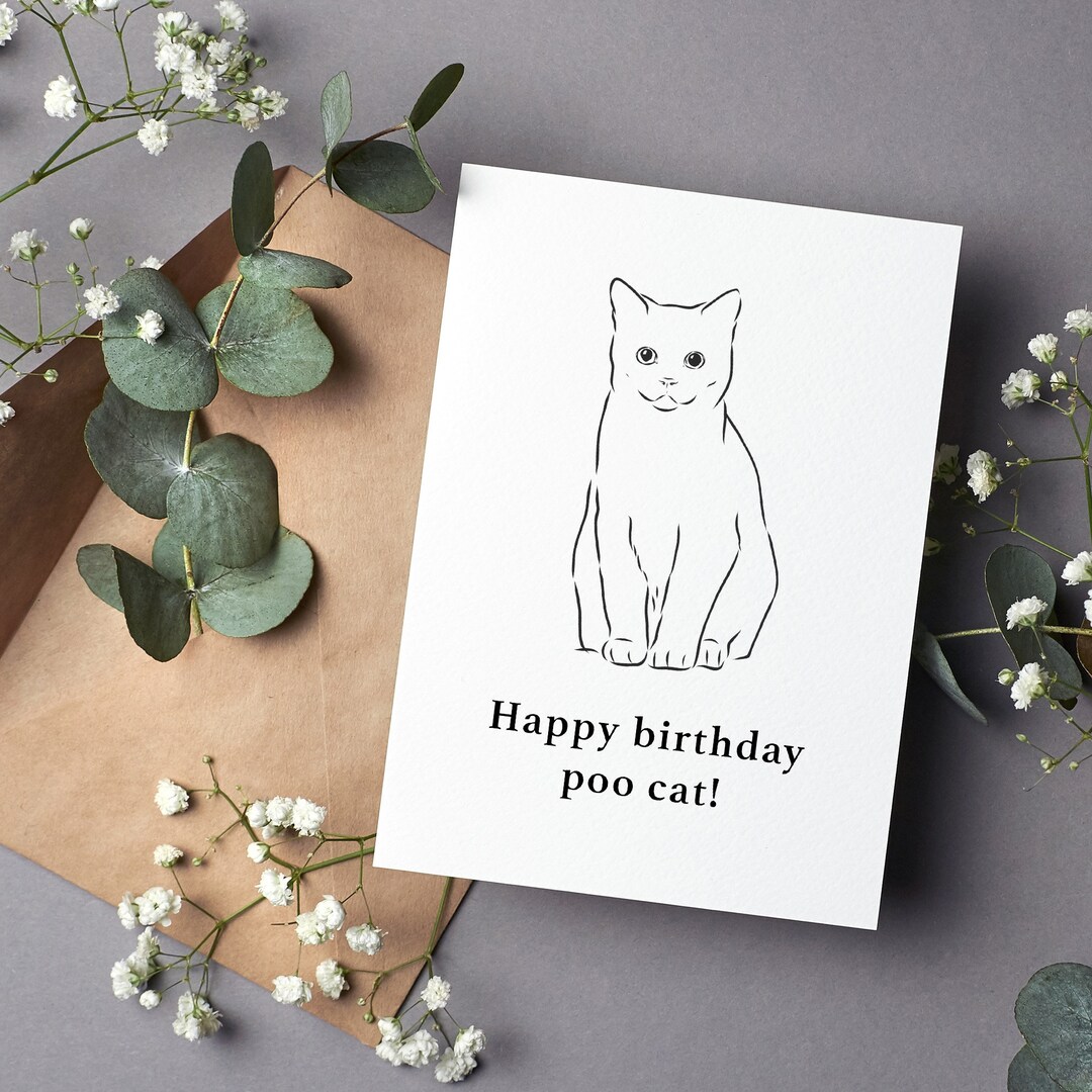 Happy Birthday Poo Cat Card - Etsy