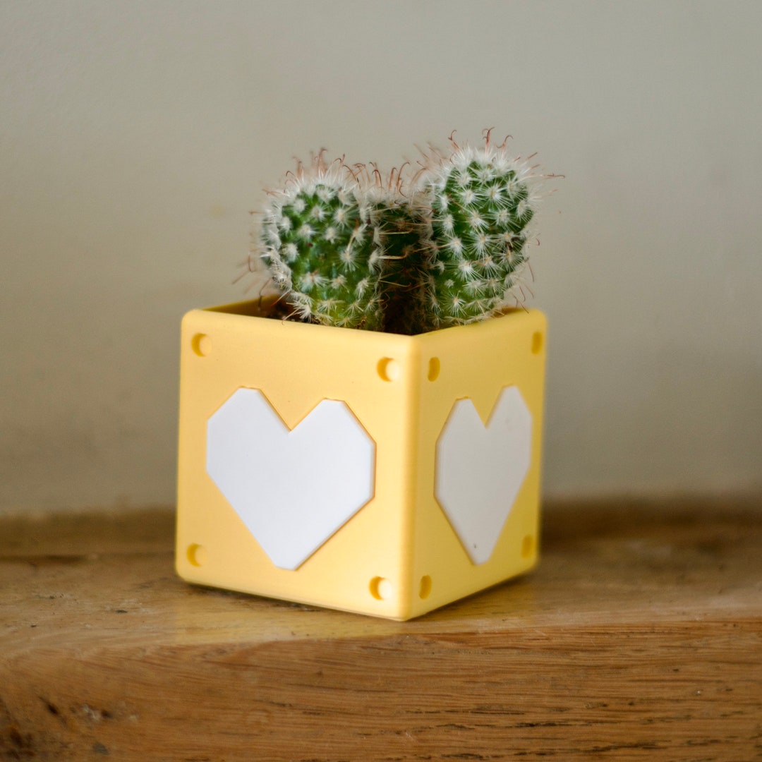 Heart Block Planter (super Mario Inspired) - Etsy