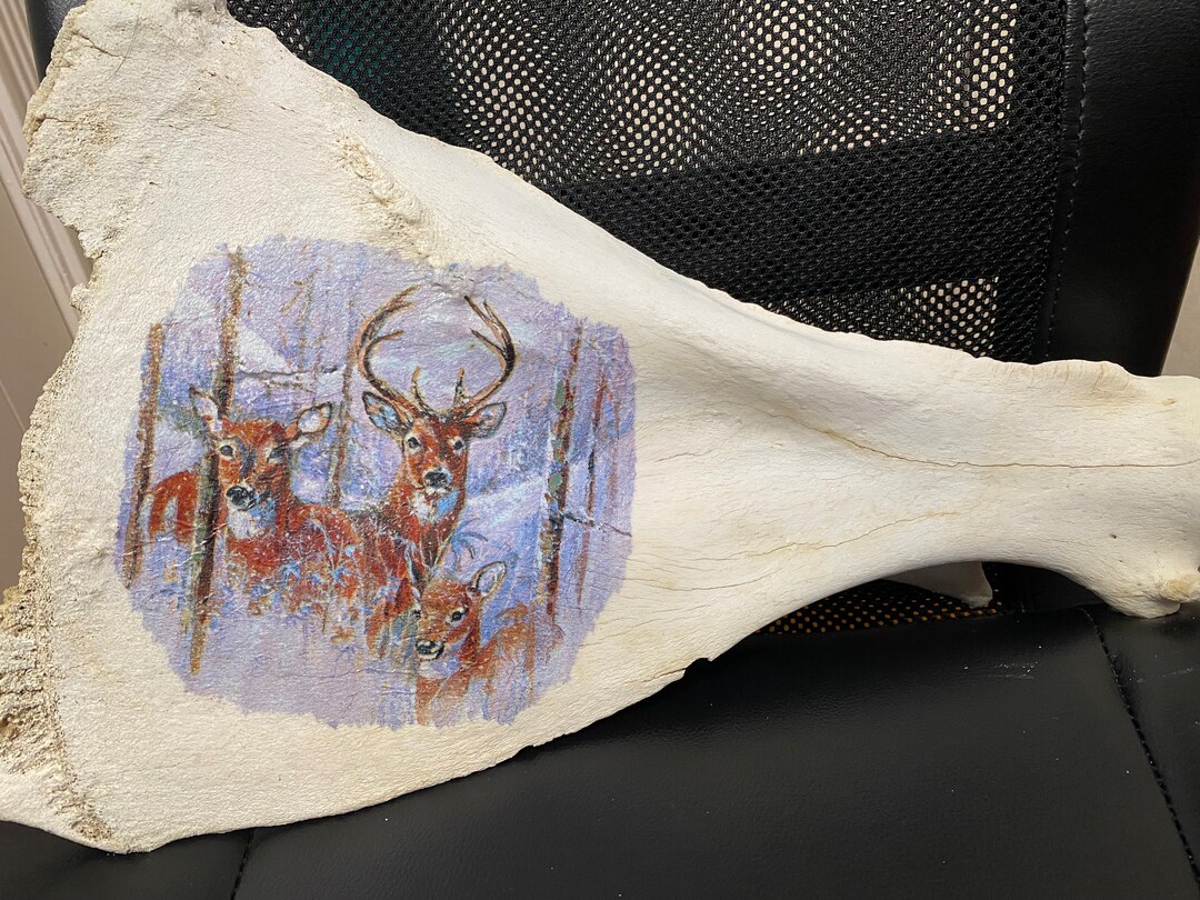 Cow Scapula Deer Print - Etsy