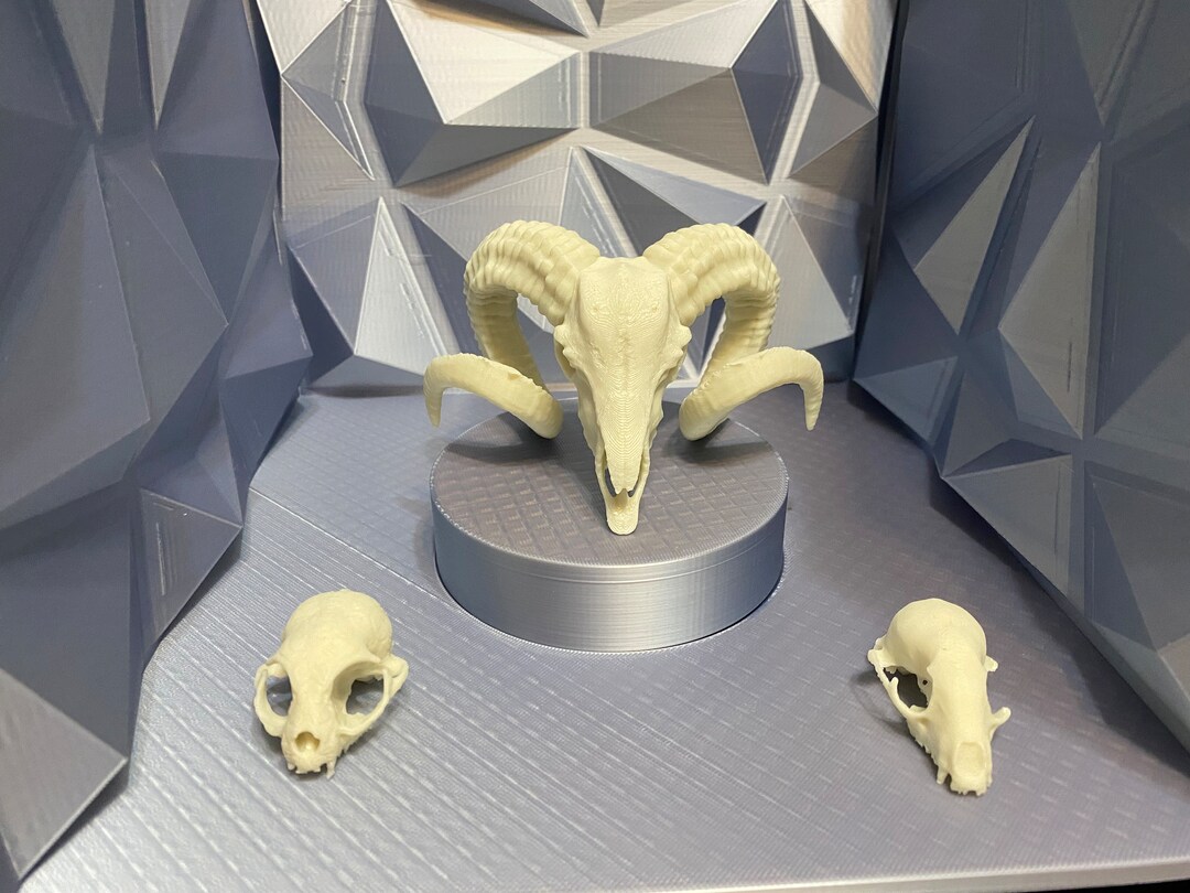 3D Mini Skulls - Etsy