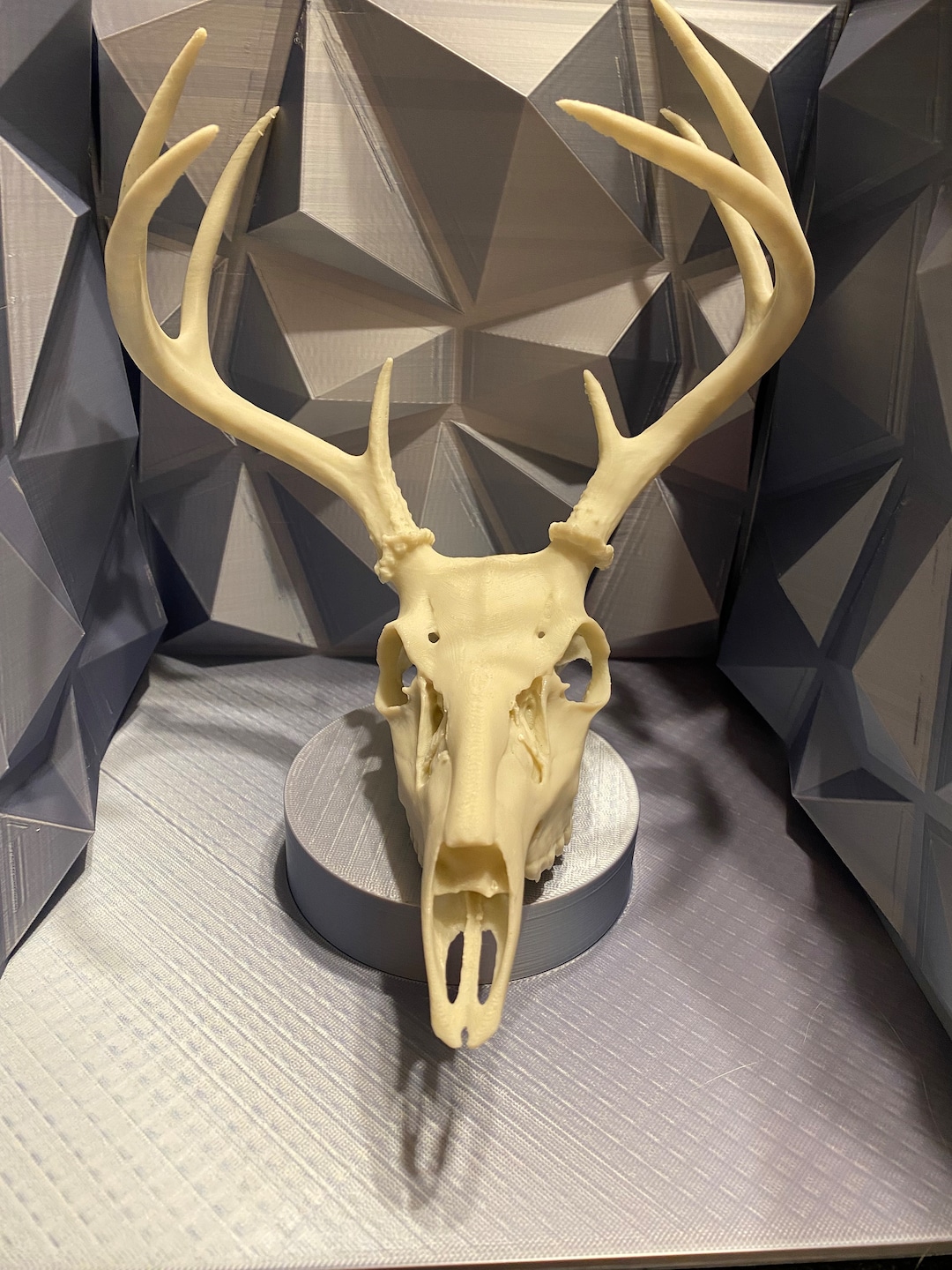 3D Deer Skull - Etsy