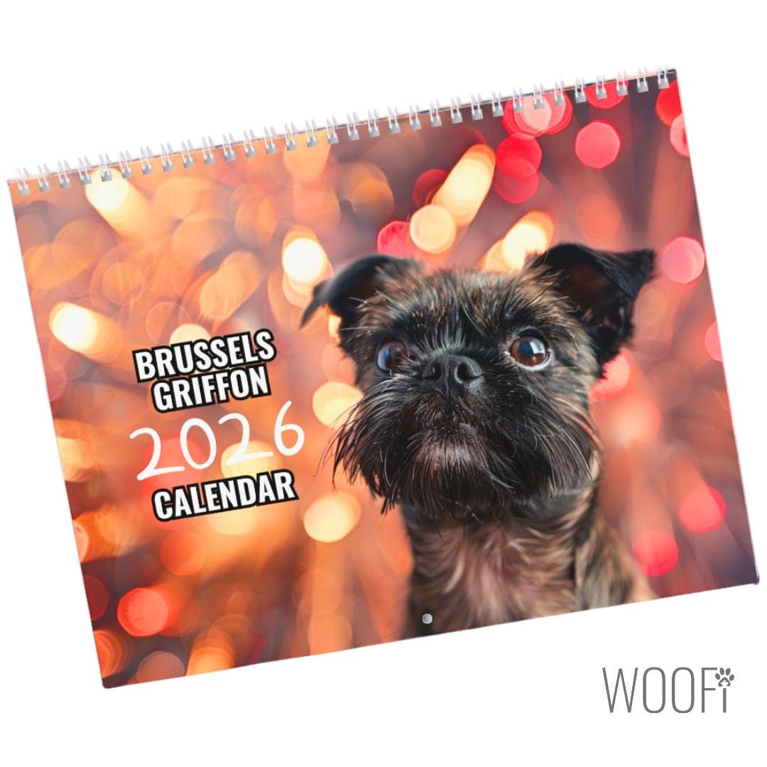 Brussels Griffon Dog Calendar 2026 : Desktop and Wall Calendar Options ...