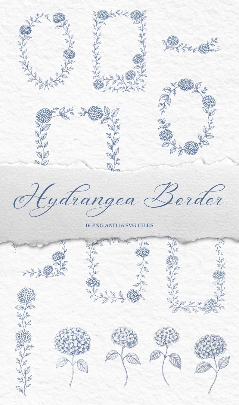 Hydrangea Border SVG PNG | Hand Drawn Floral Frame Clipart - Etsy