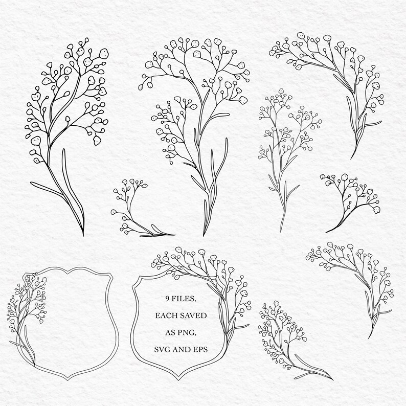 Gypsophila Wedding Hand Draw, Baby's Breath Hand Drawn Line Art ...