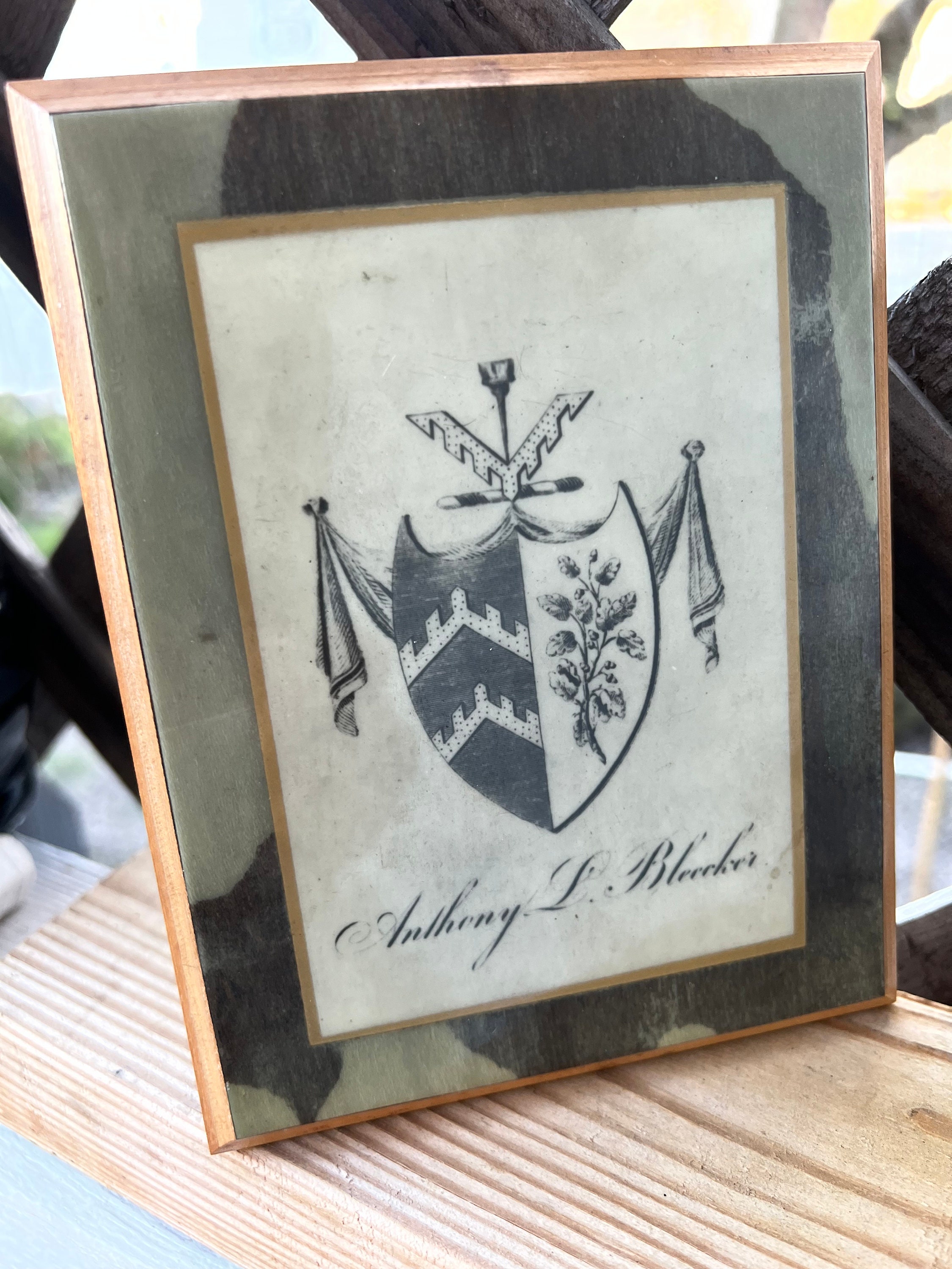 Anthony L. Bleeker Family Crest - Etsy