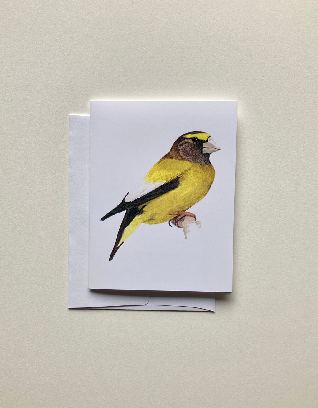 Set of 8 Blank Bird Notecards | Evening Grosbeak | Watercolor Bird Note ...