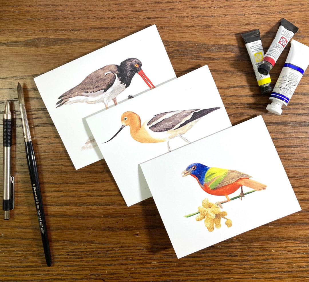 Set of 6 ASSORTED Blank Notecards | Watercolor Bird Note Cards ...