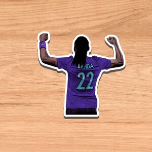 Soccer Girls Womens Football Futbol World Cup Champions Premier Cup ...