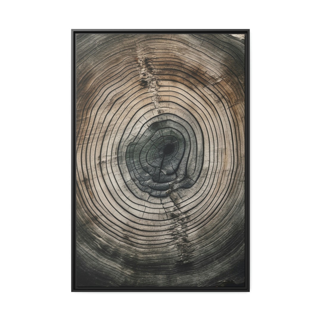 Tree Ring Collection 4- Framed Matte Canvas, Hanging Wall Art, Wood ...