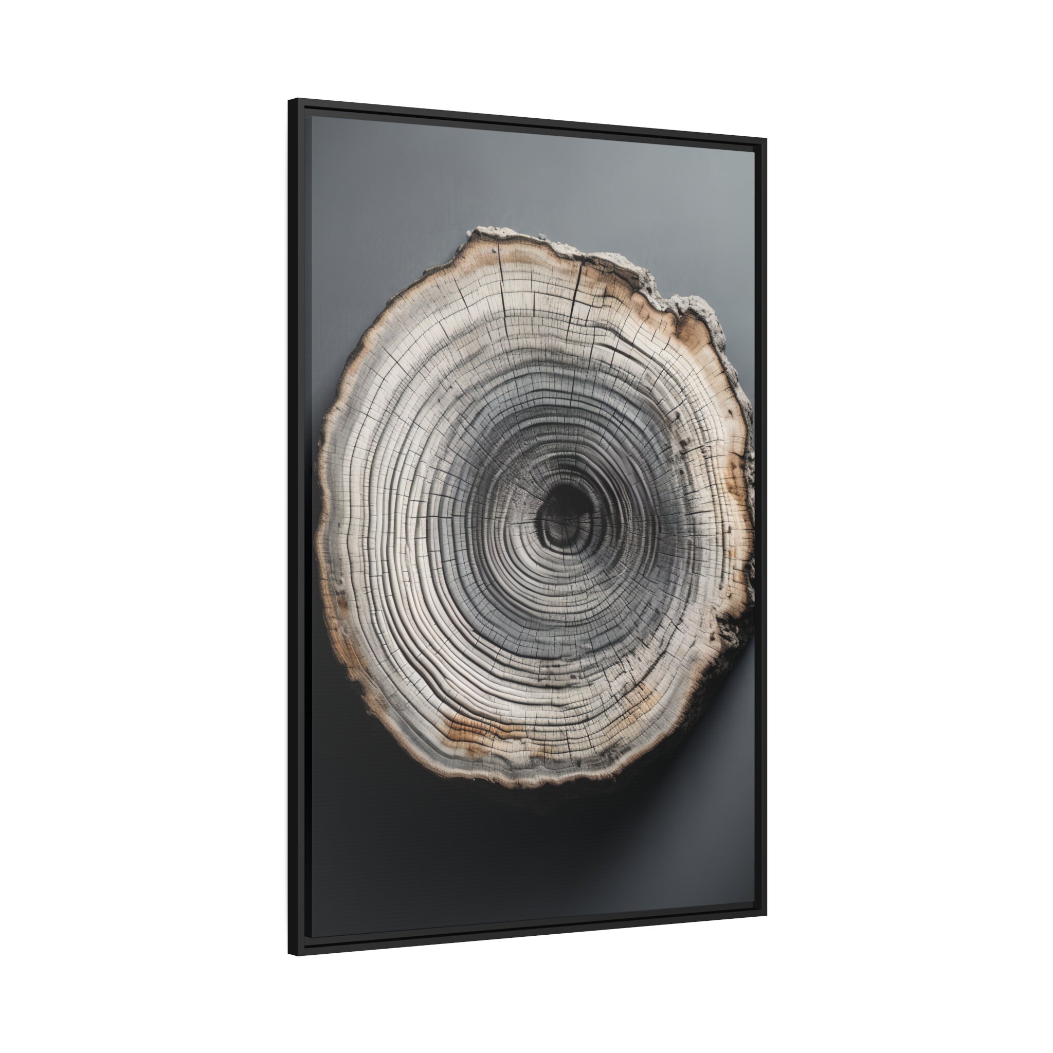 Tree Ring Collection 12 Framed Matte Canvas, Hanging Wall Art, Wood ...