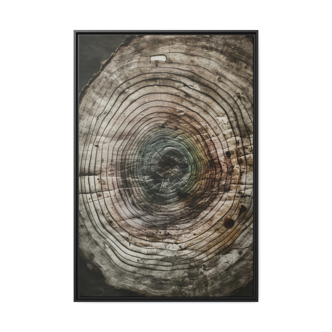 Tree Ring Collection 3 - Framed Matte Canvas, Hanging Wall Art, Wood ...