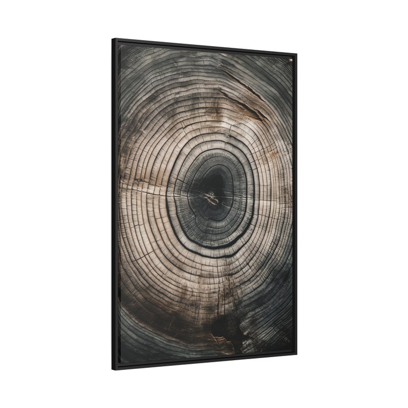 Tree Ring Collection 8- Framed Matte Canvas, Hanging Wall Art, Wood ...