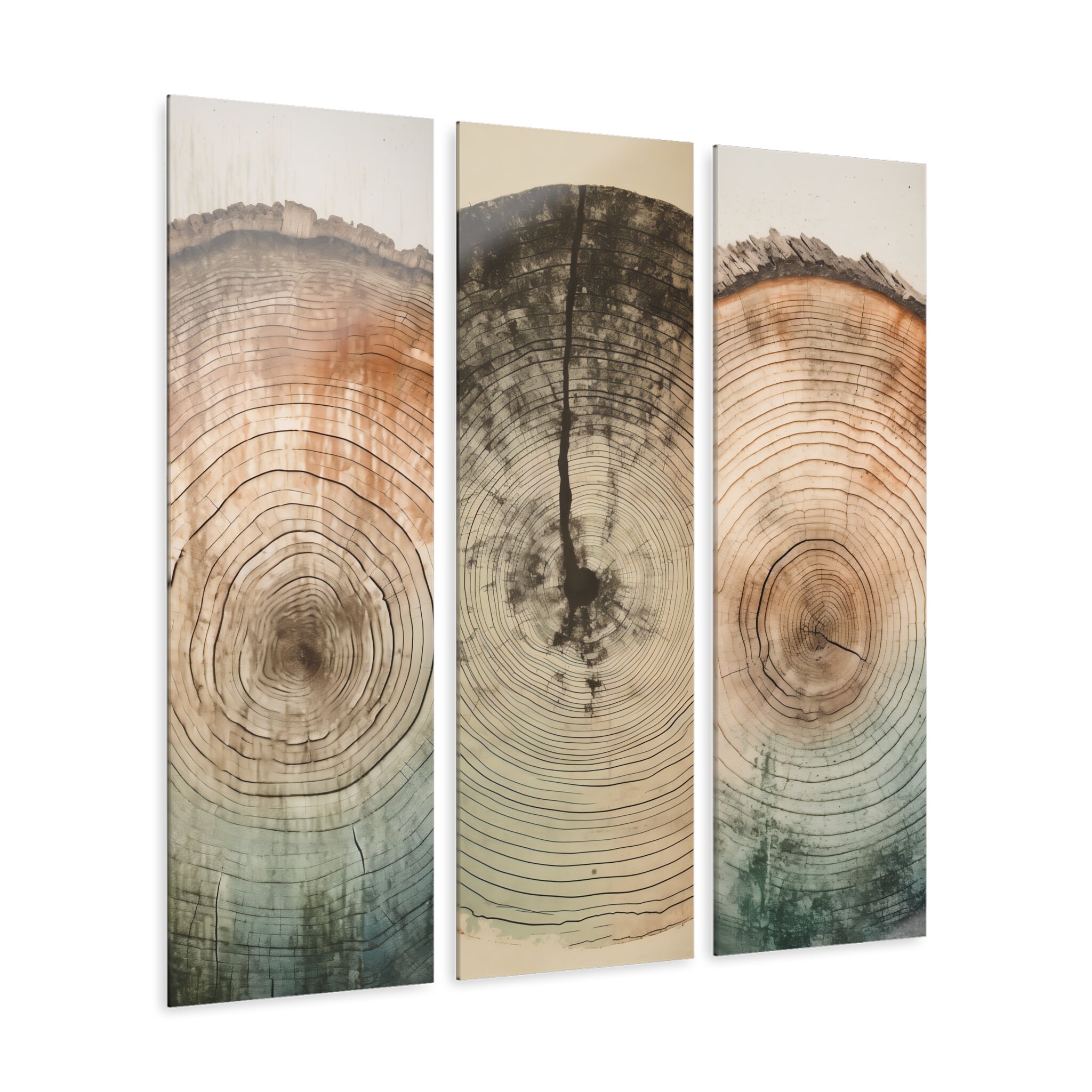 Triptych Tree Ring Collection 6 Framed Canvas Acrylic Prints, Wall Art Set of 3, Wood Tree Rings ...